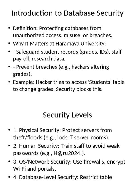 Database Security Essentials At Haramaya Pdf Security Computer