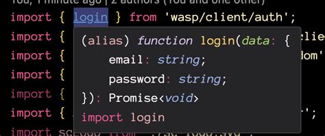 Documentation For `login` Action Wasp