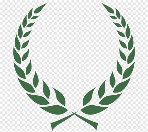 월계관 화관 그린 월계수 Png Pngegg