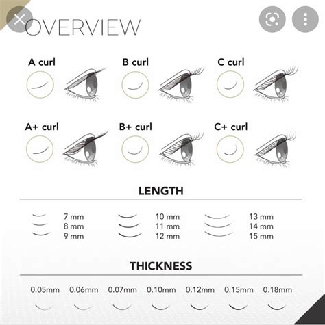 Pin By Kristina On Lash Lash Curls Chart Lashes Esthetician School