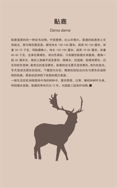 科普知识黇鹿 中国哈尔滨森林博物馆