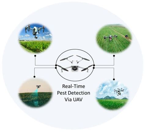 plants free full text ai enabled crop management framework for pest detection using visual