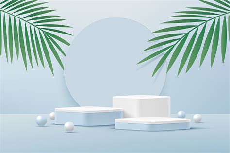 추상적인 흰색 둥근 코너 받침대 연단 녹색 야자수 잎 파란색과 흰색 구가있는 밝은 파란색 빈 방 벡터 렌더링 3d 모양 제품 표시 프리젠 테이션 파스텔 룸 최소한의 벽 장면