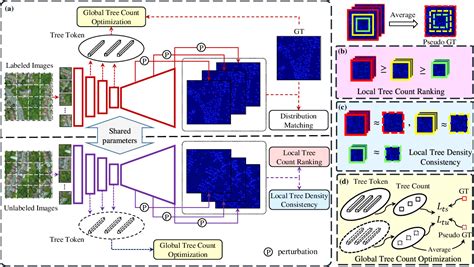 Treeformer A Semi Supervised Transformer Based Framework For Tree