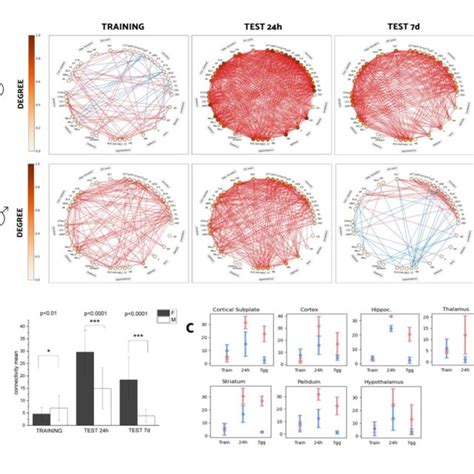 Fear Memory Networks In Male And Female Mice A Network Graphs Were Download Scientific
