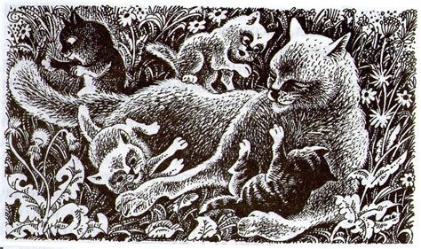 Willowpelt On Tumblr