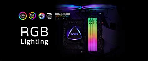 Caster Rgb Ddr5 Dram Module Xpg