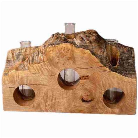 Live Edge Propagation Station Littlebranch Farm