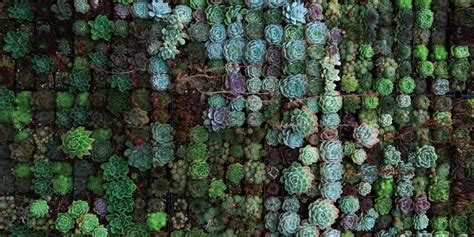 Use Memoization In React With React Memo And Usecallback By Chamith