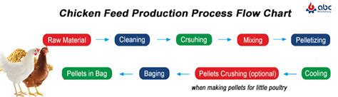 Chicken Feed Mill Setup Ultimate Guide To Get Started