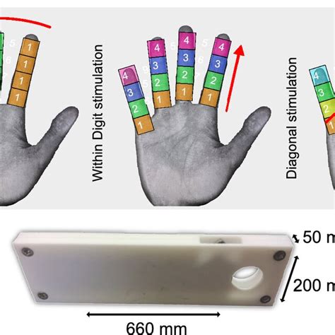 A The Stimulation Protocol Three Stimulation Paradigms Of Download Scientific Diagram