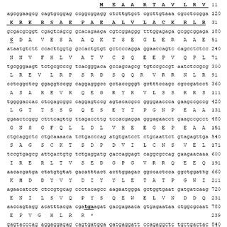 The Schematic Presentation Of ARP Gene Structure As Well As ARP CDNA Download Scientific
