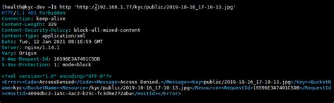 为 Minio 设置 Nginx 代理以及访问策略的设置 未来边缘