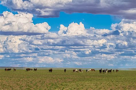 Activities And Things To Do In Eastern Mongolia