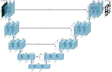 4 Architectures And Loss Functions Ai In Microscopy A Bioimaging Guide