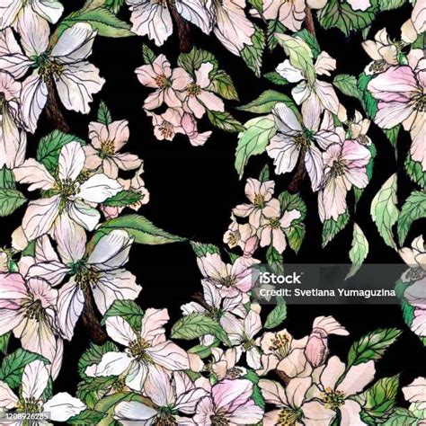 수채화와 잉크로 만든 그림 사과 나무의 꽃입니다 매끄러운 패턴 섬유 벽지 포장 커버 직물의 디자인 0명에 대한 스톡 벡터 아트