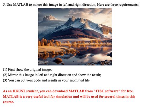 Solved Use MATLAB To Mirror This Image In Left And Right Chegg Com