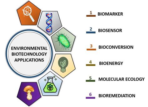 Environmental Biotechnology Applications Download Scientific Diagram