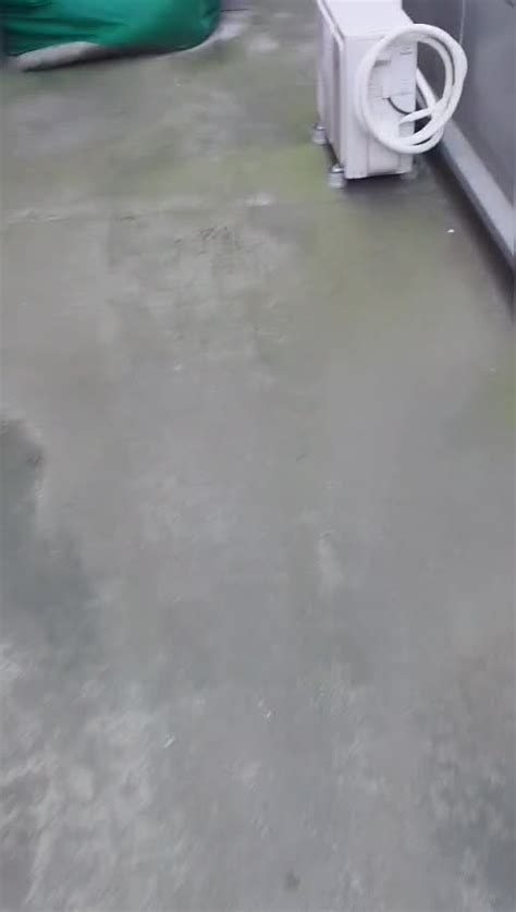 후끈후끈 뜨거운 일요일오후 ~ 옹쓰이쁜이 밖에있다 딱 걸림~~ ㅎㅎ 둘이 같이 마실갔다온거냥~~ ㅎㅎ 오잉~~~ 이렇게 주니