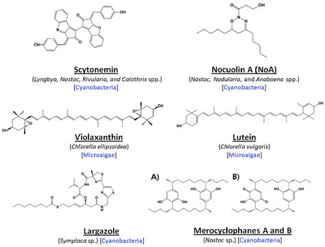 List Of Selected Anticancer Compounds Derived From Cyanobacteria Or Download Scientific Diagram