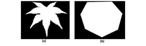 Example Of A Binary Image B Binary Image Obtained From Convex Download Scientific Diagram