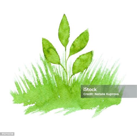 자연 유기 바이오 에코 라벨 및 모양 잔디 흰색 바탕에 녹색 수채화 벡터 손으로 그린 얼룩입니다 수채화에 대한 스톡 벡터 아트 및 기타 이미지 Istock