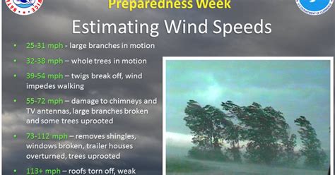 MSE Creative Consulting Blog How Do You Estimate Wind Speeds