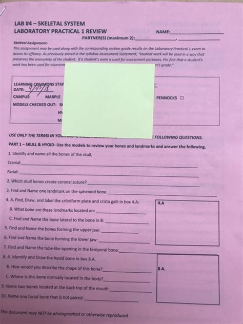 Solved LAB 4 SKELETAL SYSTEM LABORATORY PRACTICAL 1 REVIEW Chegg Com