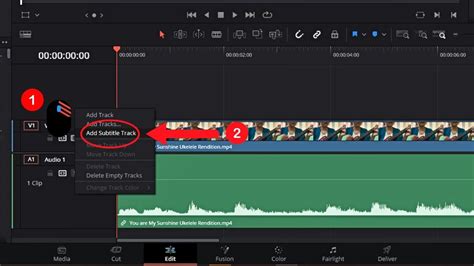 How To Add Multiple Subtitles In DaVinci Resolve