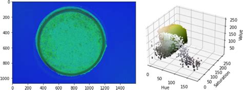 HSV View Of The Image Left And HSV Color Space View Of The Image B Download Scientific Diagram