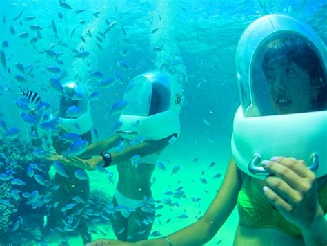 シーウォーク＆青の洞窟（シュノーケル・体験ダイビング）｜恩納村