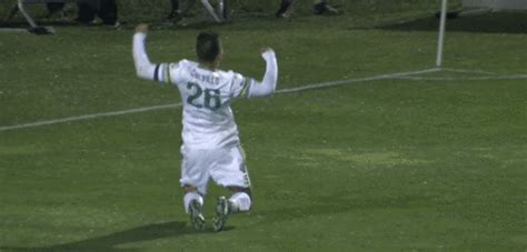 Soccer Celebrations 