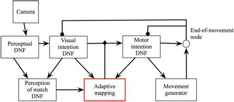The DFT Architecture For Looking See Main Text For Details Download Scientific Diagram