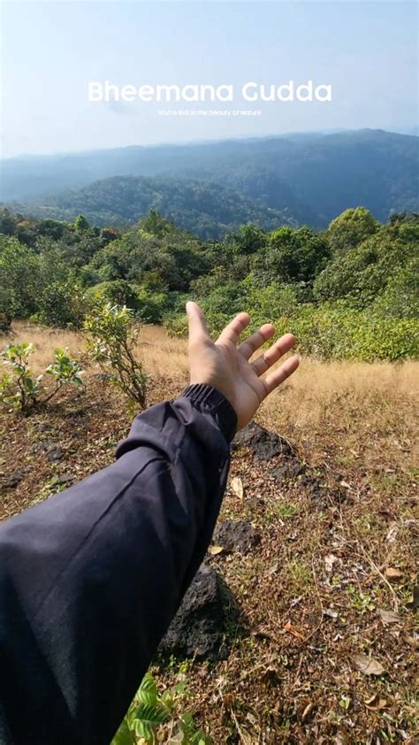 Capture Stories Embracing The Natural Beauty Within And Around Me 🍃 • • Naturelover Nature