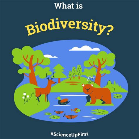 What Is Biodiversity Scienceupfirst