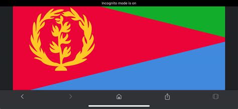 Lgbt Rights In Eritrea Wiki LGBT Amino