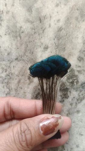 Mor Pankh Kalgi Peacock Head Kalgi Kalangi At ₹ 1100piece Kalangi In