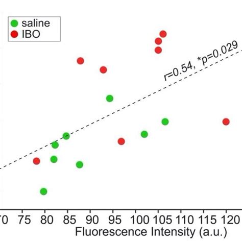 Correlation Between Mri And Histology Significant Correlation Between Download Scientific