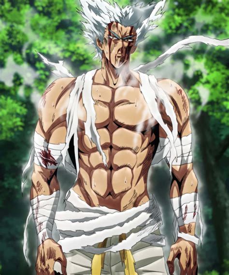100 Garou Wallpapers