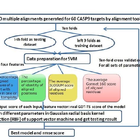 The Workflow Of The Multiple Alignment Based Svm Model Quality