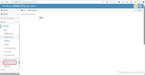 Pikachu靶场通关笔记26 Sql注入09 时间盲注base On Timepikachu 时间盲注 Csdn博客