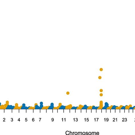 A Manhattan Plot Of The Absolute Snp Effect Estimated In Bayesr Over