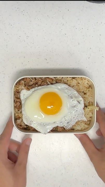 [직장인 점심 도시락] 다 먹어도 배고픈 양배추참치덮밥 양참덮 Youtube