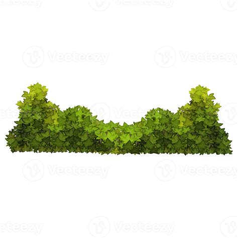 Green Bush And Tree For Landscape And Architecture Drawing Elements For Environment And Garden