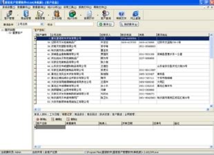 里诺合同管理软件3 55 轻松管理合同 永久使用 注册码 无限制 王子瑞20101