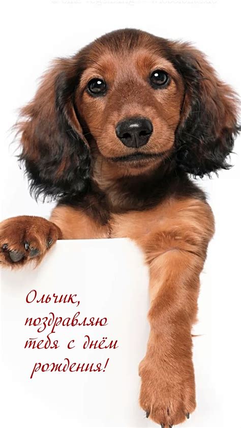 Ольчик поздравляю тебя с днём рождения
