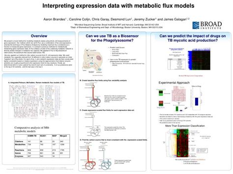 Ppt Interpreting Expression Data With Metabolic Flux Models Powerpoint Presentation Id3580605