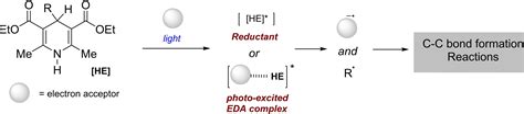 Catalyst‐free Hantzsch Ester‐mediated Organic Transformations Driven By Visible Light Suresh