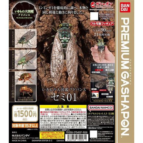 Bandai Capsule Toys Biological Big Illustrated Book Cicadas Know Spots