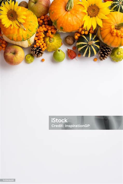 추수 감사절 개념 해바라기 로완 열매 야채 호박 패티탄 사과 배 호두 소나무 콘과 카피 스페이스가있는 고립 된 흰색 배경에 Physalis의 상단보기 수직 사진 11월에